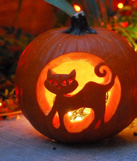 Picture Of Cute Cat Pumpkin Lantern