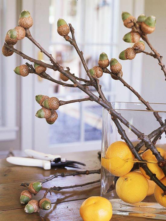 Fall Décor With Branches: 56 Awesome Ideas - DigsDigs