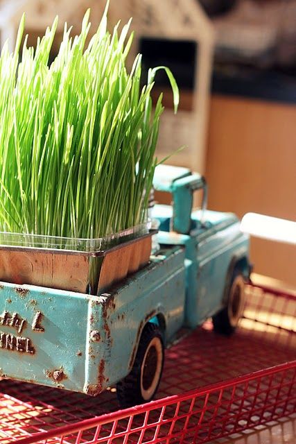 49 Fresh Wheatgrass Home Décor Ideas To Try In Spring Digsdigs