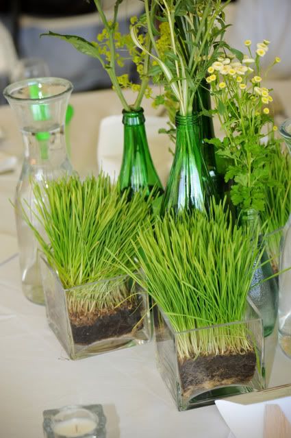 49 Fresh Wheatgrass Home Décor Ideas To Try In Spring - DigsDigs