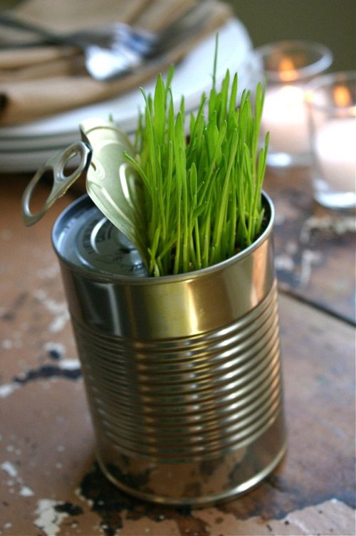 49 Fresh Wheatgrass Home Décor Ideas To Try In Spring - DigsDigs