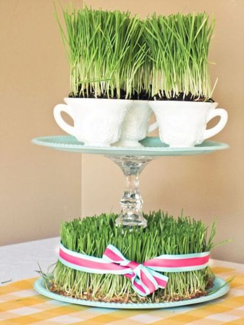 49 Fresh Wheatgrass Home Décor Ideas To Try In Spring - DigsDigs