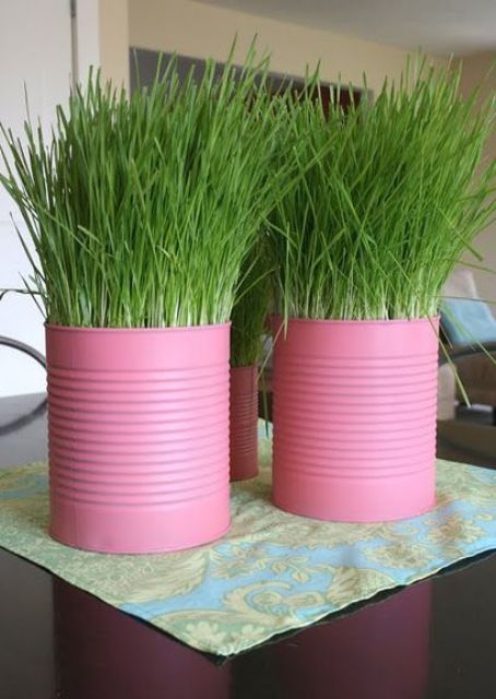 49 Fresh Wheatgrass Home Décor Ideas To Try In Spring - DigsDigs