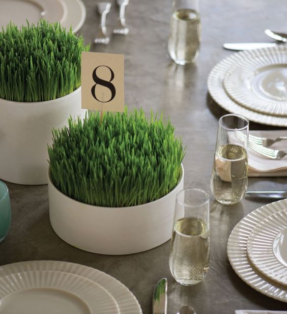 49 Fresh Wheatgrass Home Décor Ideas To Try In Spring - DigsDigs