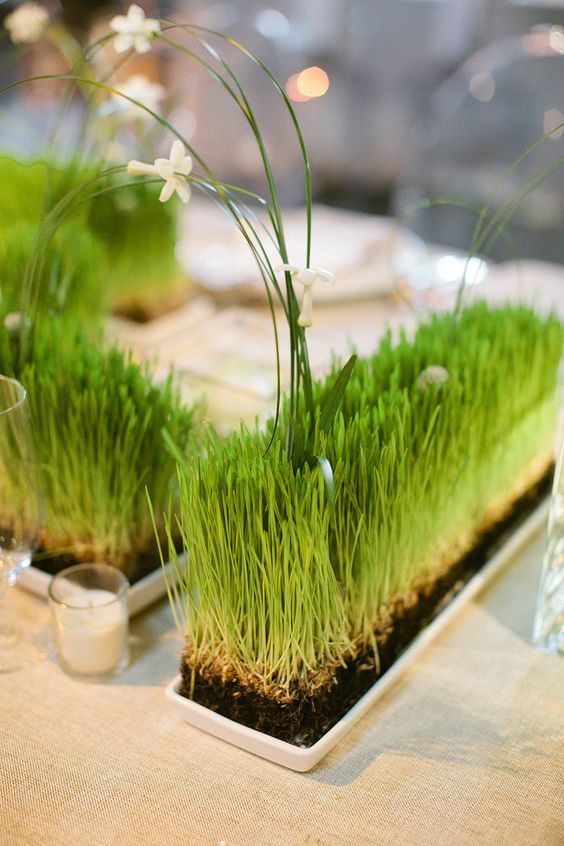 49 Fresh Wheatgrass Home Décor Ideas To Try In Spring Digsdigs