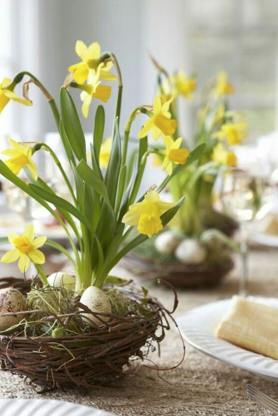 54 Cool Daffodils Décor Ideas To Welcome Spring - DigsDigs