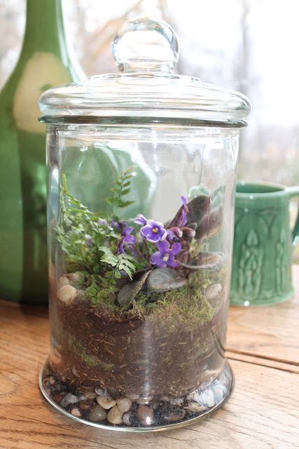 73 Adorable Spring Terrariums For Home Décor - DigsDigs