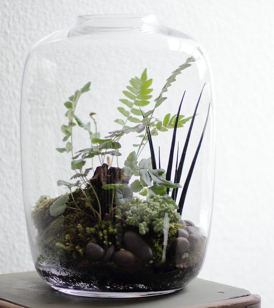 73 Adorable Spring Terrariums For Home Décor - DigsDigs