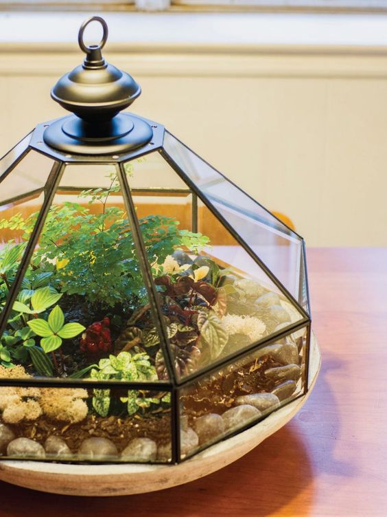 73 Adorable Spring Terrariums For Home Décor - DigsDigs