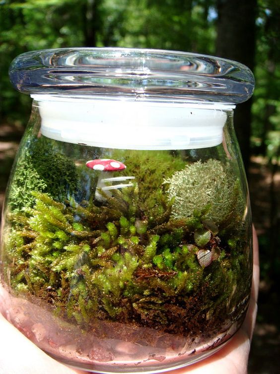 73 Adorable Spring Terrariums For Home Décor - DigsDigs