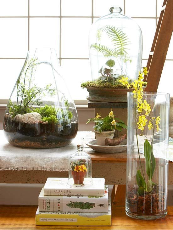 73 Adorable Spring Terrariums For Home Décor - DigsDigs