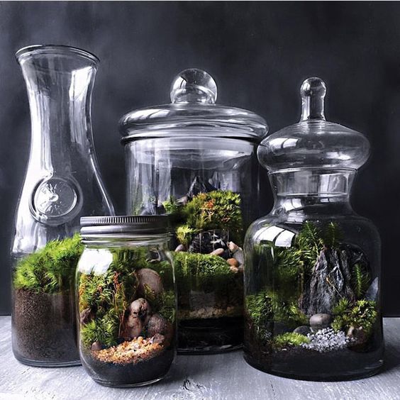 73 Adorable Spring Terrariums For Home Décor - DigsDigs