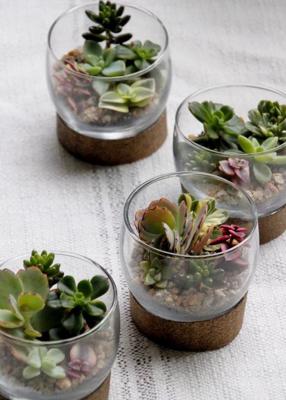 73 Adorable Spring Terrariums For Home Décor - DigsDigs