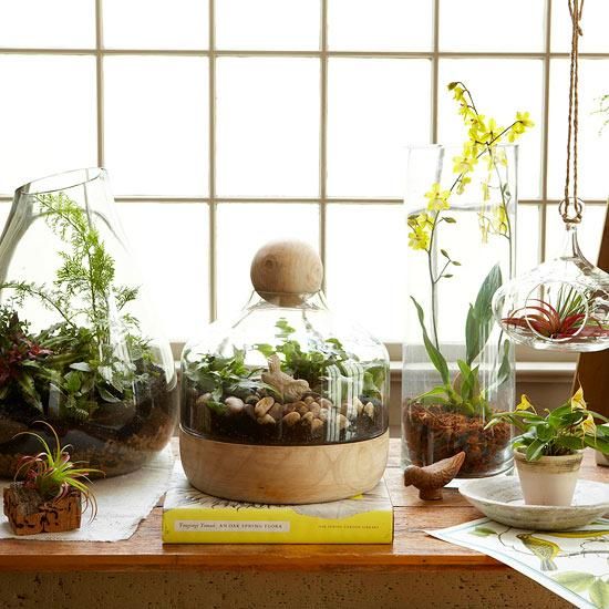 73 Adorable Spring Terrariums For Home Décor - DigsDigs