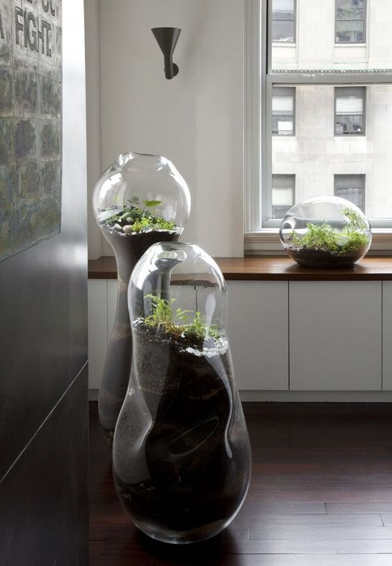 73 Adorable Spring Terrariums For Home Décor - DigsDigs
