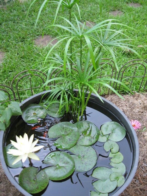 56 Awesome Mini Ponds To Complete Your Outdoor Décor - DigsDigs
