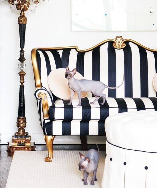 71 Creative And Timeless Striped Home Décor Ideas - DigsDigs