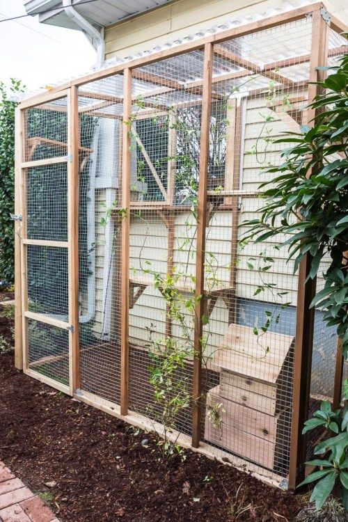 41 Safe And Smartly Organized Cat Enclosures - DigsDigs