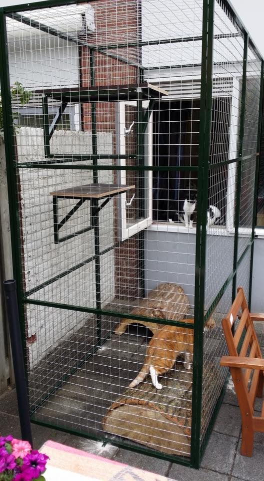 41 Safe And Smartly Organized Cat Enclosures - DigsDigs