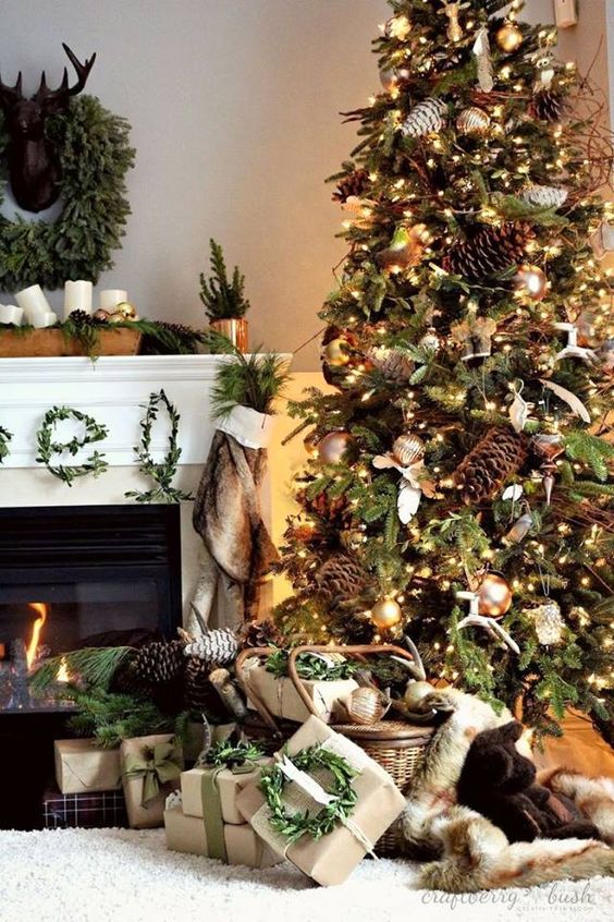 35 Most Beautiful Christmas Trees To Enjoy - DigsDigs