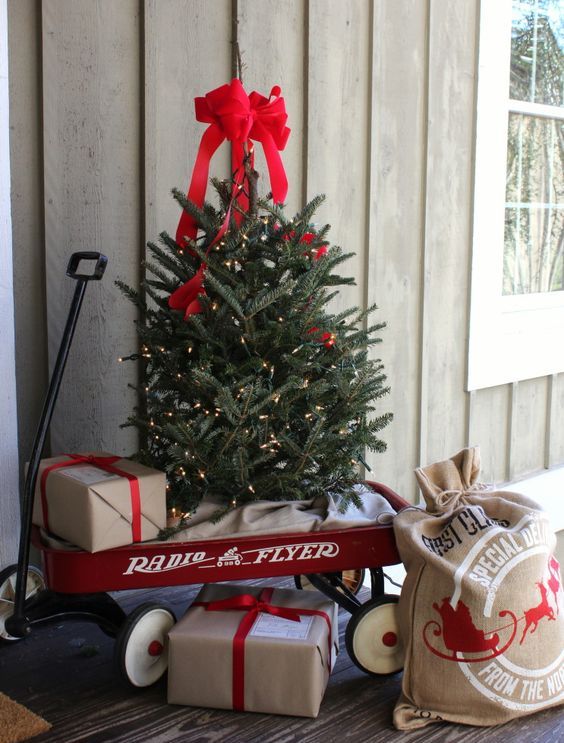 38 Outdoor Christmas Trees That Wow - DigsDigs