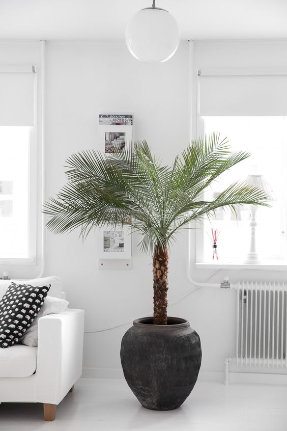 35 Chic Ways To Rock Plants In Your Interiors - DigsDigs
