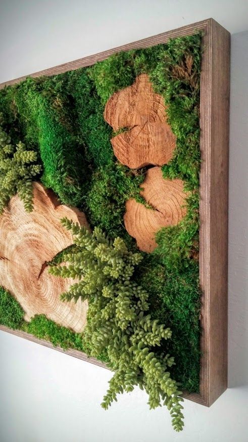 25 Edgy And Trendy Moss Home Decor Ideas - DigsDigs