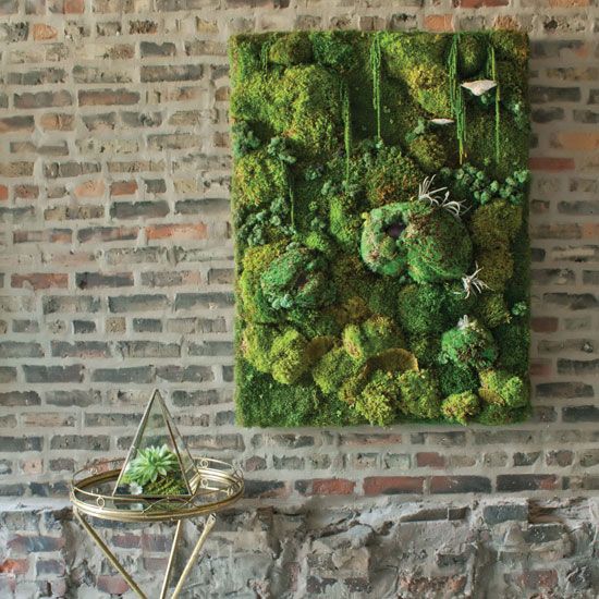 25 Edgy And Trendy Moss Home Decor Ideas - DigsDigs