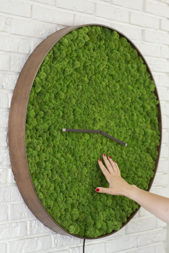 25 Edgy And Trendy Moss Home Decor Ideas - DigsDigs