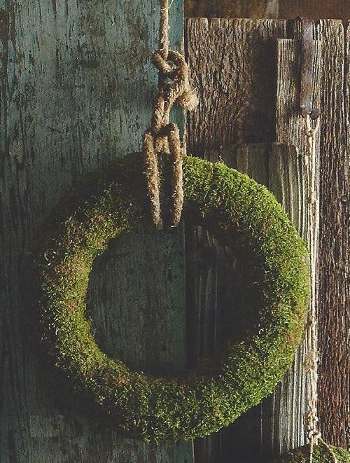 25 Edgy And Trendy Moss Home Decor Ideas - DigsDigs