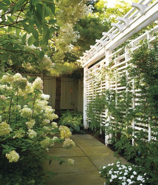 25 Smart And Stylish Garden Screening Ideas - DigsDigs