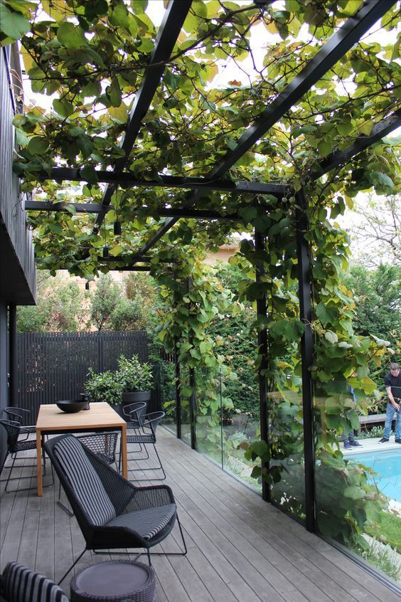 25 Smart And Stylish Garden Screening Ideas - DigsDigs