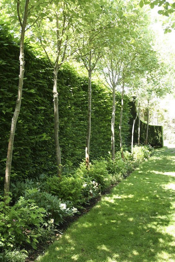25 Smart And Stylish Garden Screening Ideas - DigsDigs
