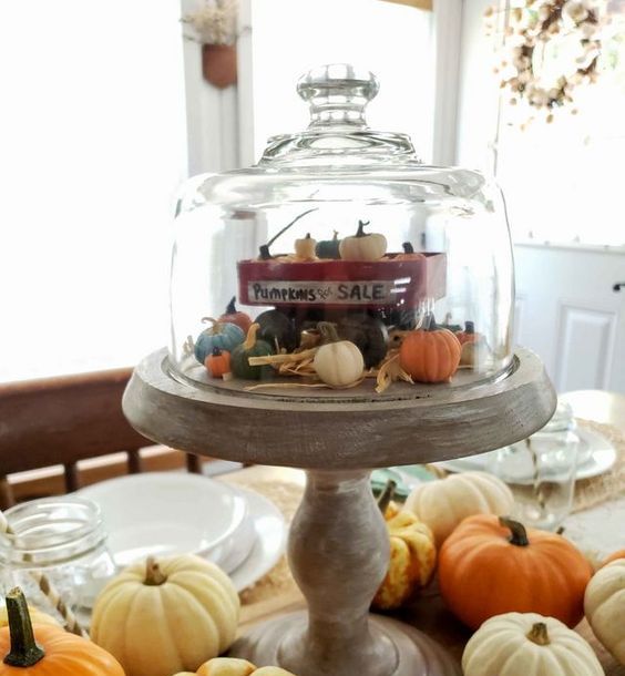 25 Cozy And Easy Thanksgiving Cloche Displays - DigsDigs