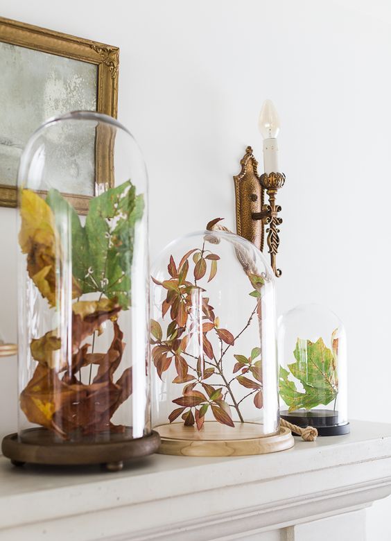 25 Cozy And Easy Thanksgiving Cloche Displays - DigsDigs