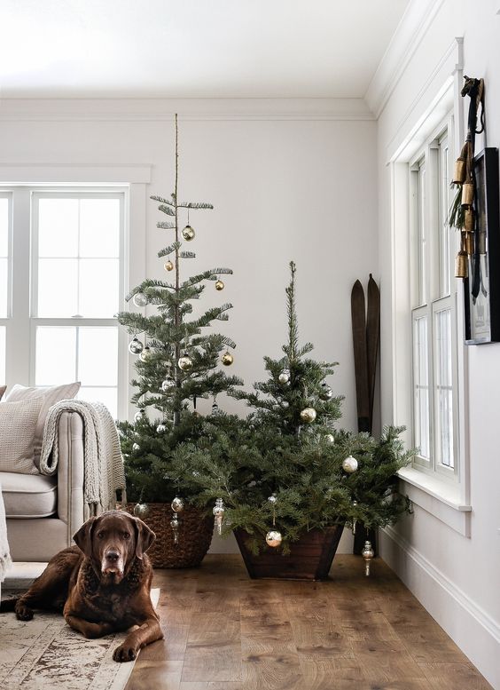 86 Beautiful Multiple Christmas Trees Ideas - DigsDigs