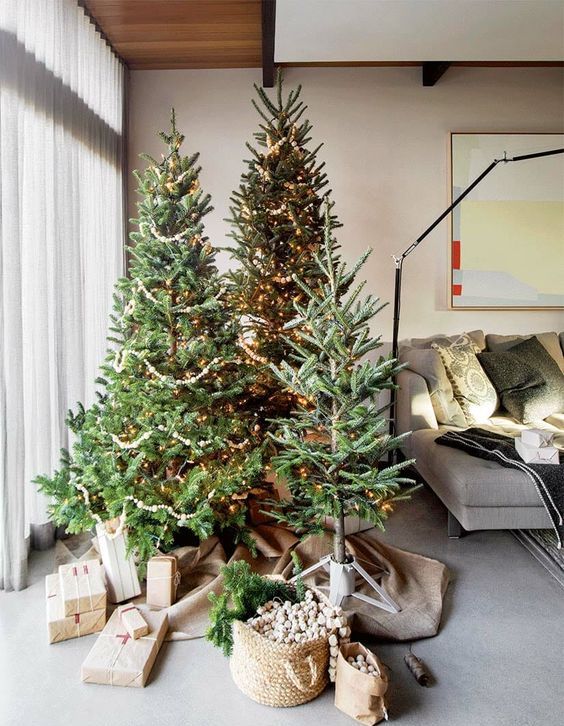 86 Beautiful Multiple Christmas Trees Ideas - DigsDigs