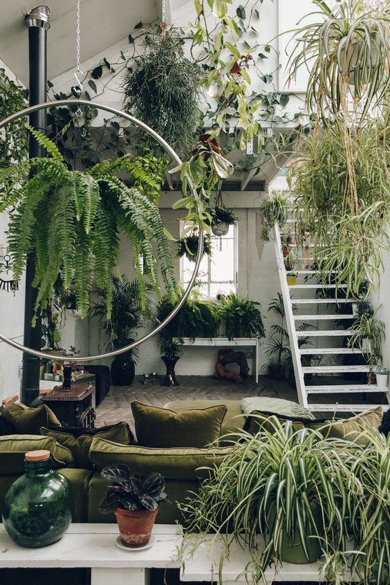 25 Biophilic Home Decor Ideas That Inspire - DigsDigs