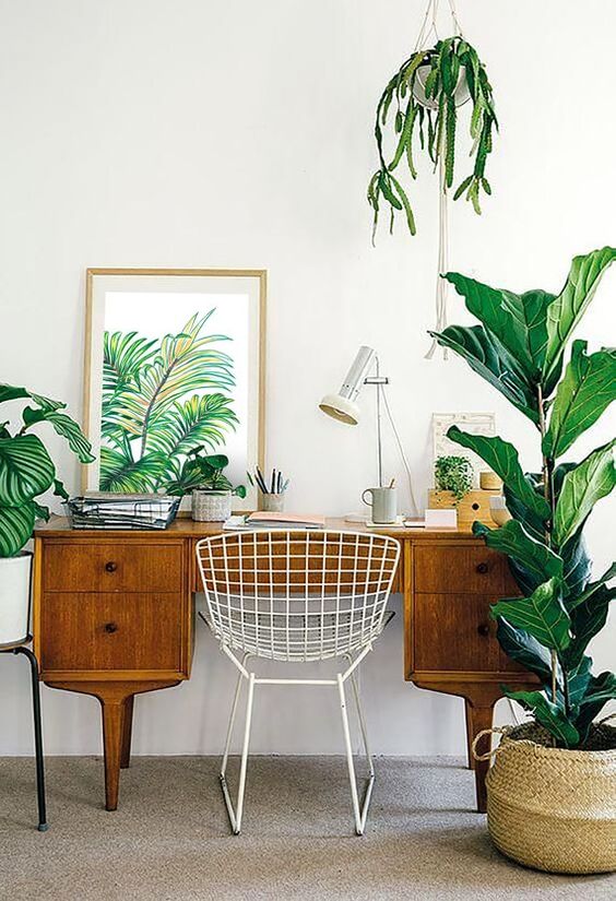 23 Bright Tropical Home Office Decor Ideas - DigsDigs