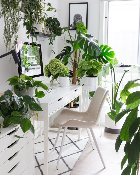 23 Bright Tropical Home Office Decor Ideas - DigsDigs