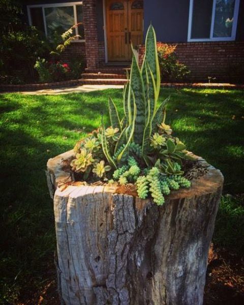 Tall Tree Stump Decorating Ideas | Shelly Lighting