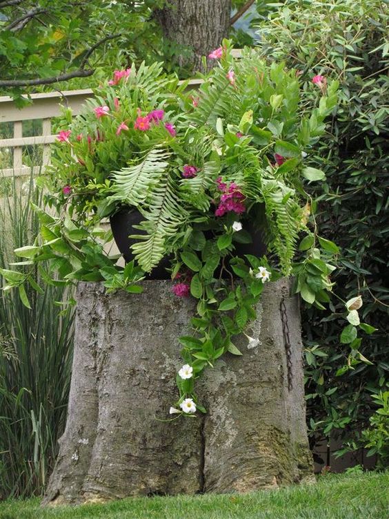35 Inspiring Tree Stump Garden Decor Ideas - DigsDigs