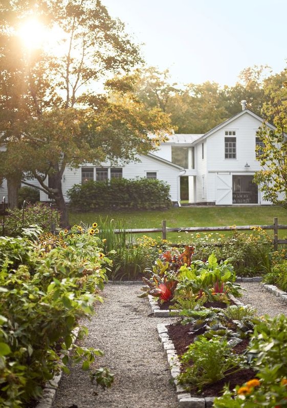 40 Gravel Pathway Ideas With Pros And Cons - DigsDigs