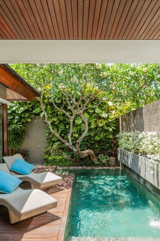 55 Small Backyard Pools That Invite In - DigsDigs