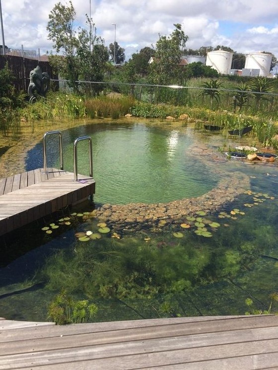 40 Natural Swimming Ponds To Refresh Yourself - DigsDigs