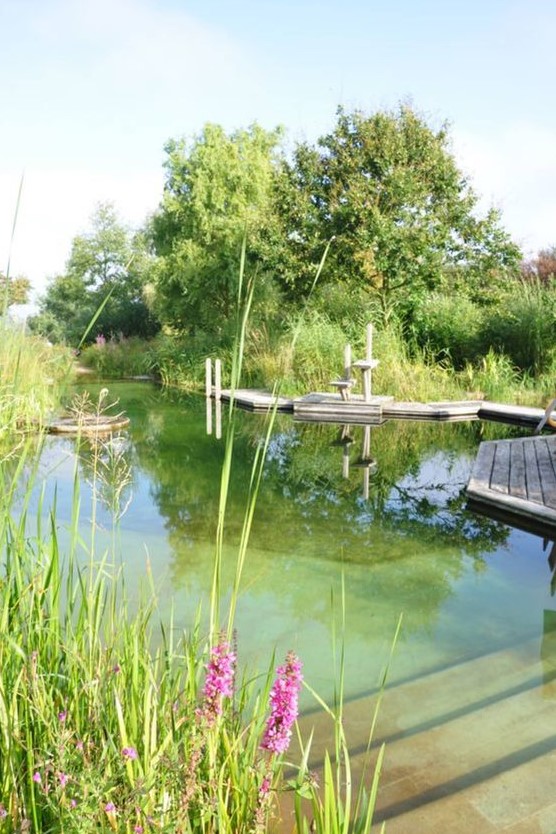 40 Natural Swimming Ponds To Refresh Yourself - DigsDigs