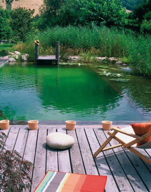 40 Natural Swimming Ponds To Refresh Yourself - DigsDigs
