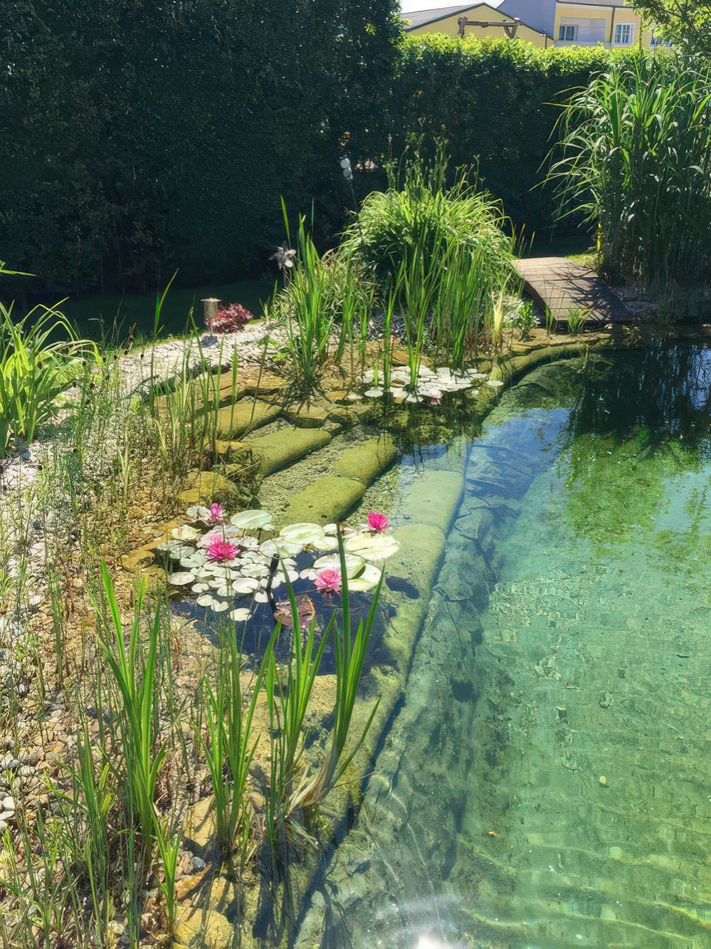 40 Natural Swimming Ponds To Refresh Yourself - DigsDigs
