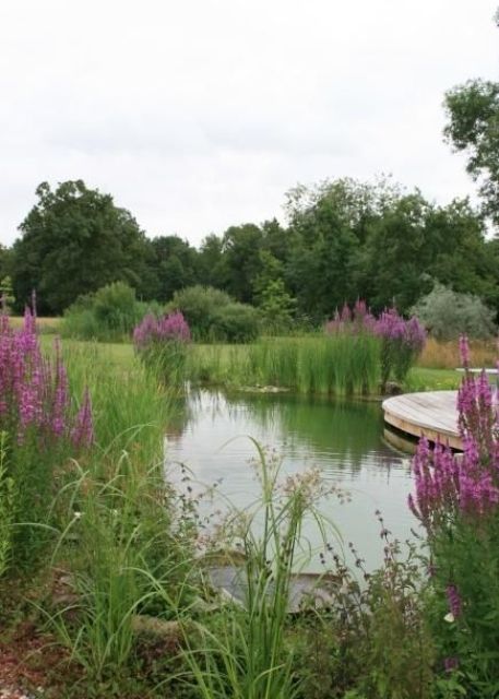 40 Natural Swimming Ponds To Refresh Yourself - DigsDigs