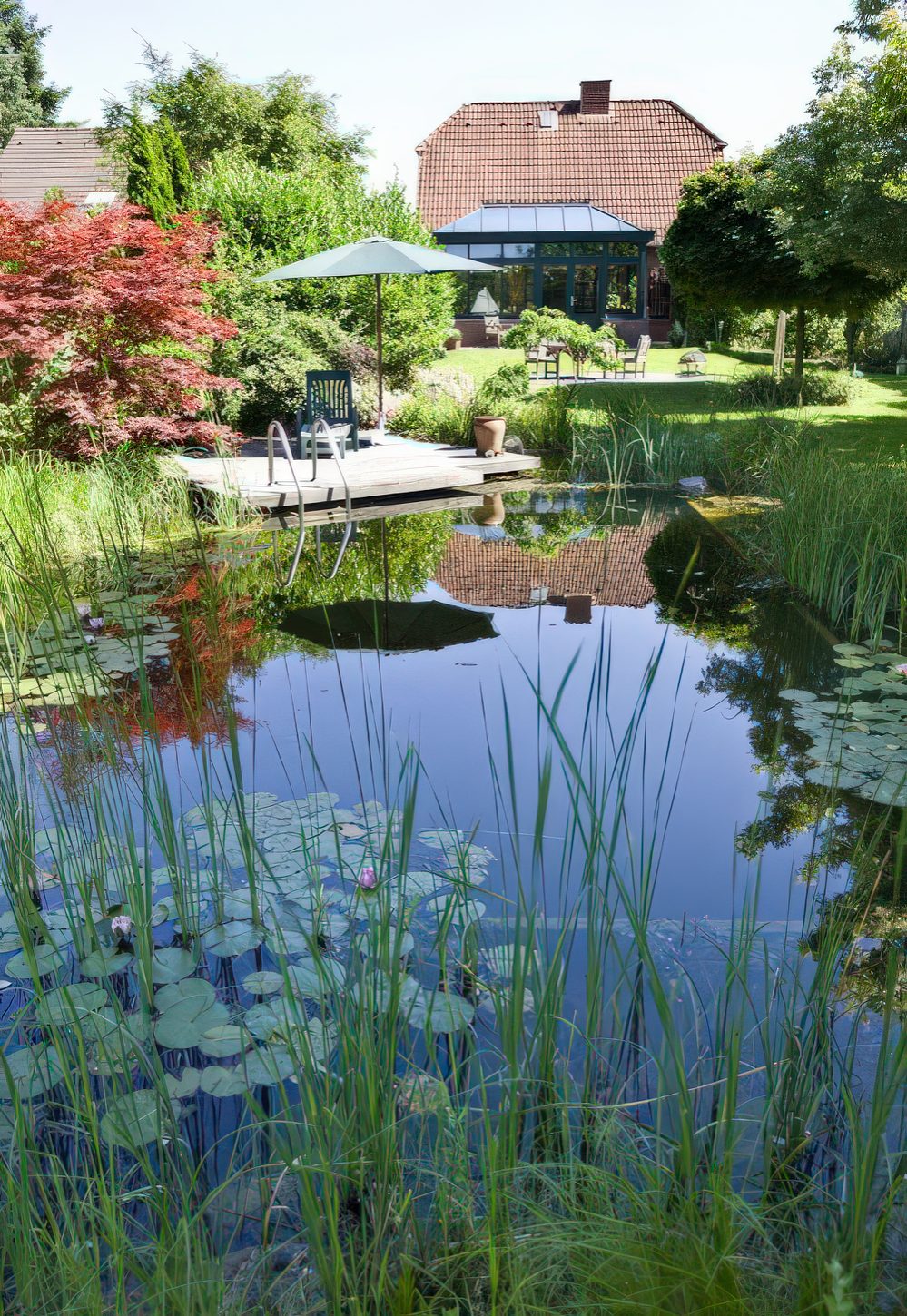40 Natural Swimming Ponds To Refresh Yourself - DigsDigs